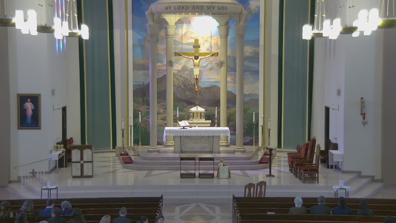 St. Thomas the Apostle Roman Catholic Parish videos ...